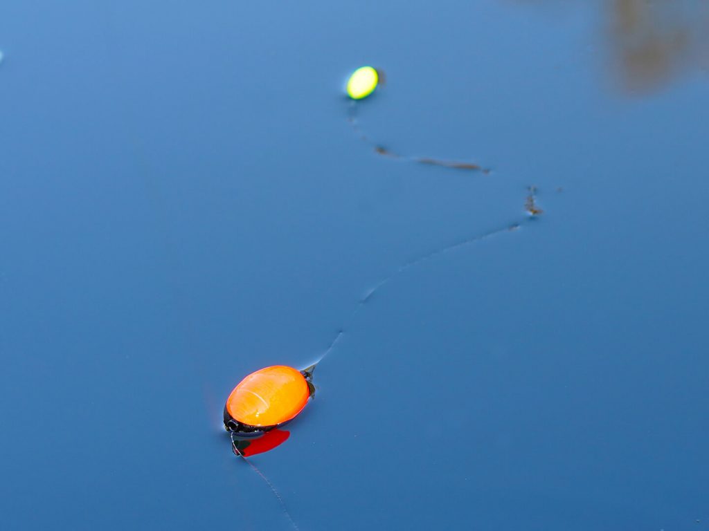 Trout Master UFO Float - Produkte - Trout Master Germany