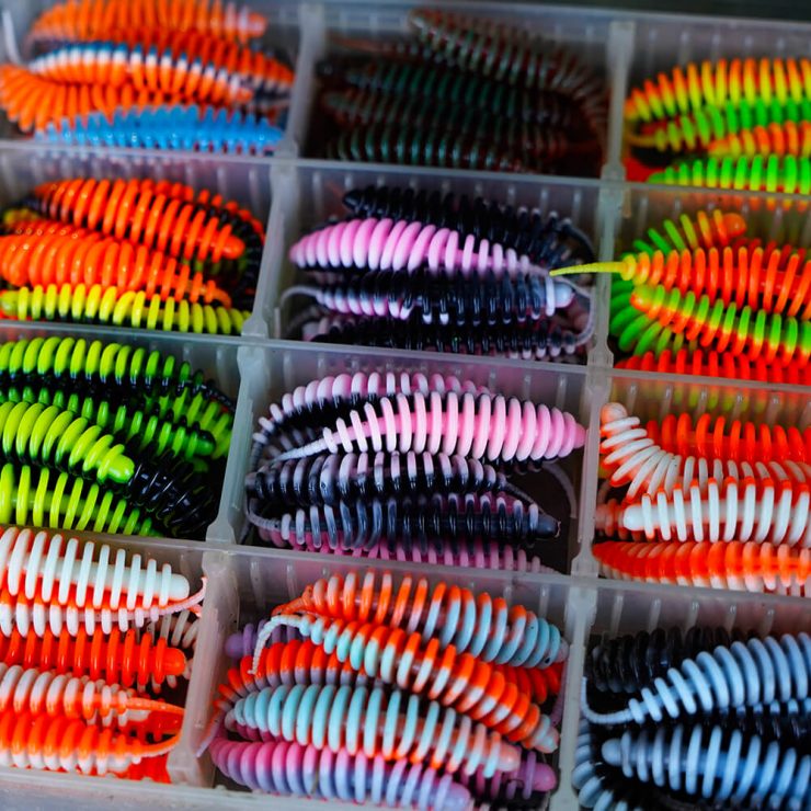 Master Worm - Produkte - Trout Master