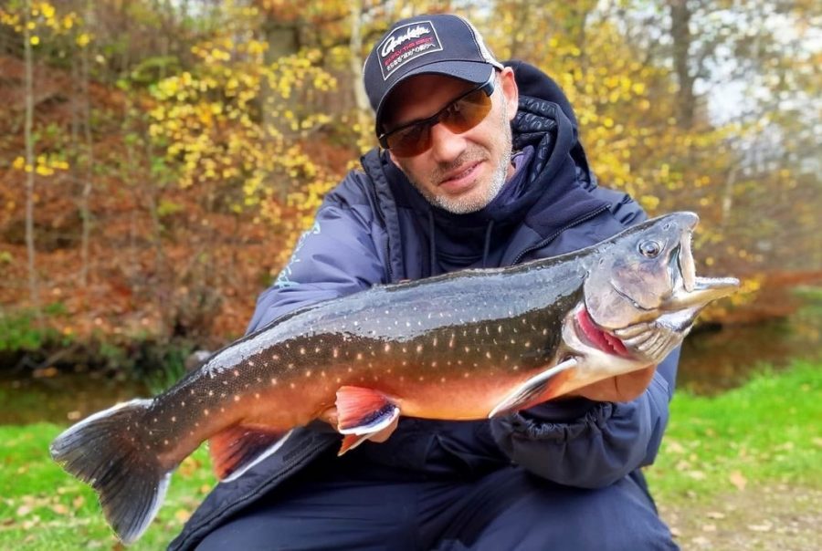Waldemar‘s 10 Tipps auf Forelle im Winter! - Blog - Trout Master